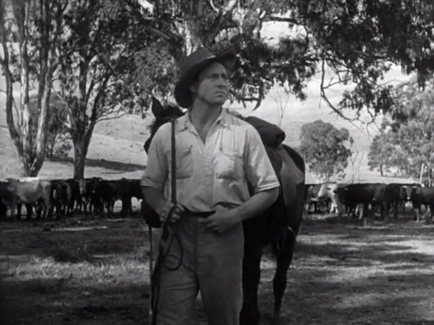 Bluey Donkin | WW2 Movie Characters Wiki | Fandom