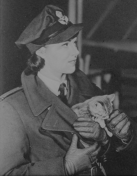 Anne Partridge | WW2 Movie Characters Wiki | Fandom