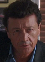 Punisher (2004) | Who’s Who In Comic Book Movies Wikia | Fandom