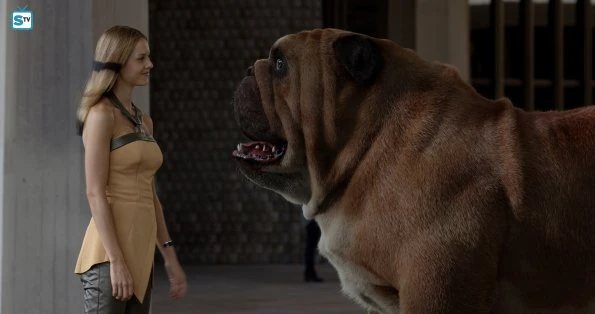Lockjaw (MCU)/Gallery | Who’s Who In Comic Book Movies Wikia | Fandom