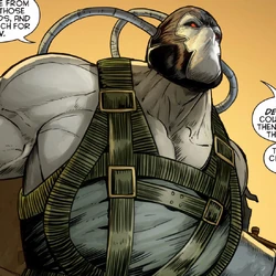 Bane (Comics) | Who’s Who In Comic Book Movies Wikia | Fandom