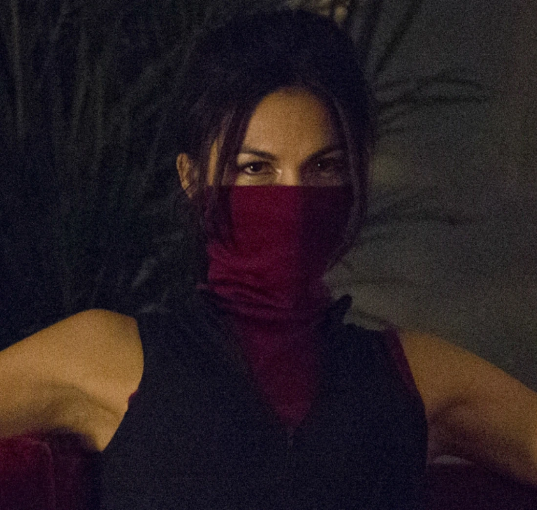 Elektra Natchios (MCU) | Who’s Who In Comic Book Movies Wikia | Fandom