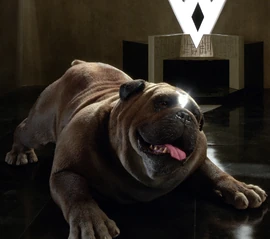 Lockjaw (MCU) | Who’s Who In Comic Book Movies Wikia | Fandom