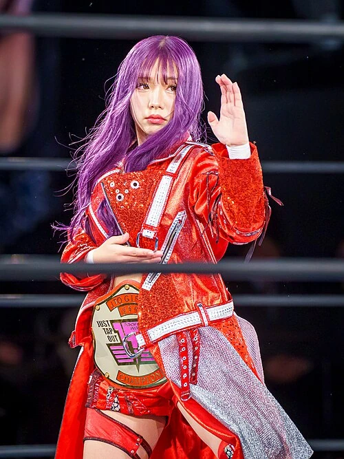 Professional Wrestling Just Tap Out | Wikia Lucha Libre | Fandom