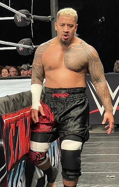 Solo Sikoa | Wikia Lucha Libre | Fandom