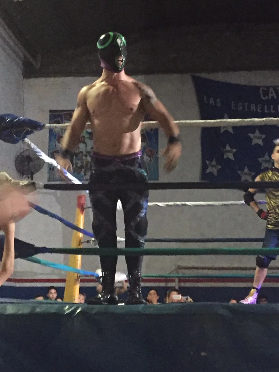 Mosca | Wikia Lucha Libre | Fandom