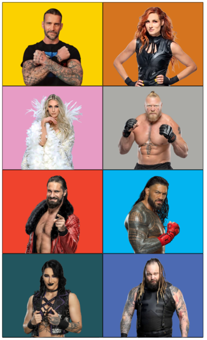 Gym Leaders | WWE x Pokemon Wiki | Fandom