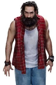 Luke Harper | World Wrestling Enciclopedia | Fandom
