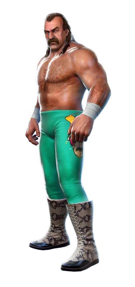 Jake Roberts | WWEAllStar Wikia | Fandom