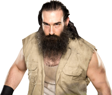 Luke Harper | WWE Wiki | Fandom