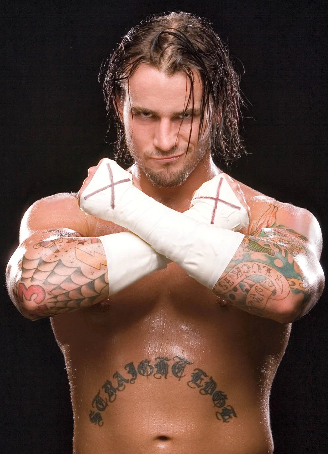 CM Punk | Wwebrasil Wiki | Fandom