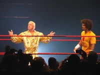 Carly Colón | Wwebrasil Wiki | Fandom