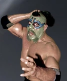 MISSING LINK | Wiki WWE CATCH | Fandom