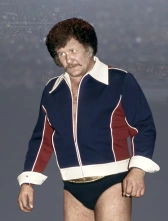 HARLEY RACE | Wiki WWE CATCH | Fandom