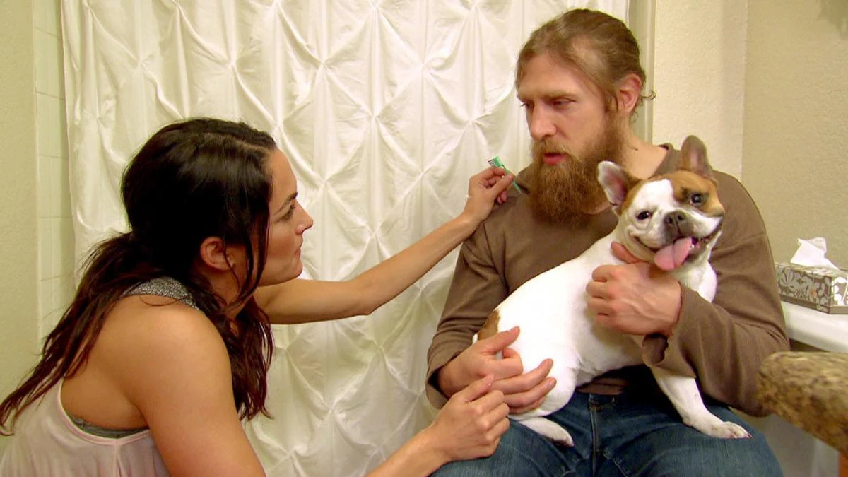 Digging A Hole | WWE Divas Wiki | Fandom