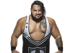 Bronson Reed | OfficialWWE Wiki | Fandom