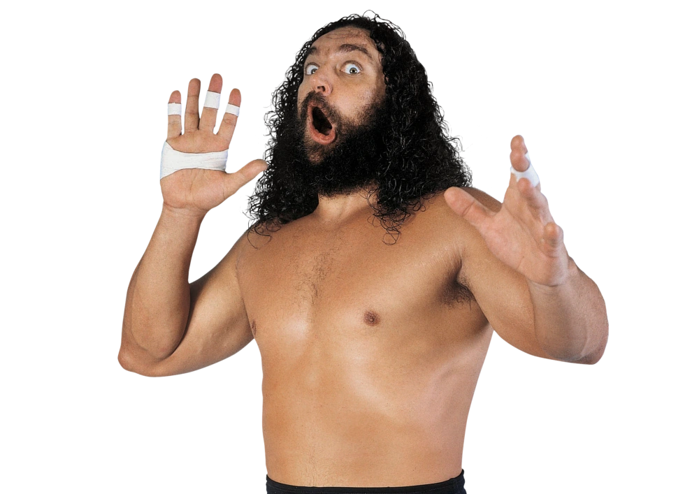 Bruiser Brody | OfficialWWE Wiki | Fandom