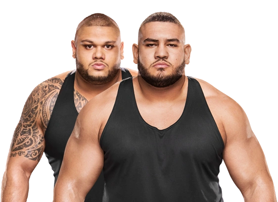 The Authors of Pain | OfficialWWE Wiki | Fandom