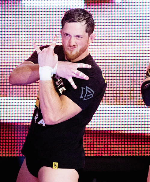 Elfo | Empresas 3DJ | Fandom