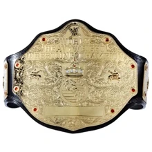 AAW World Heavyweight Championship | Wwevideogame Wiki | Fandom