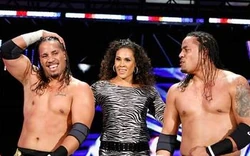 The Usos | Wwevideogame Wiki | Fandom
