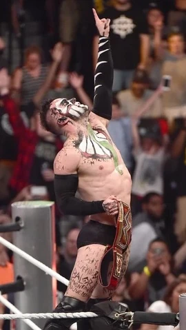 WWE Universal Championship/Champion gallery | WWE Wiki | Fandom