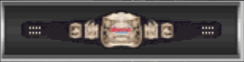 Tag Team Championship | WWF No Mercy Wiki | Fandom
