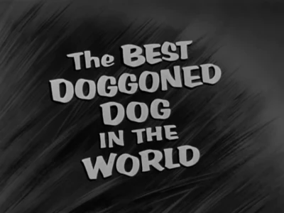 The Best Doggoned Dog in the World | Disney Anthology Series Wiki | Fandom