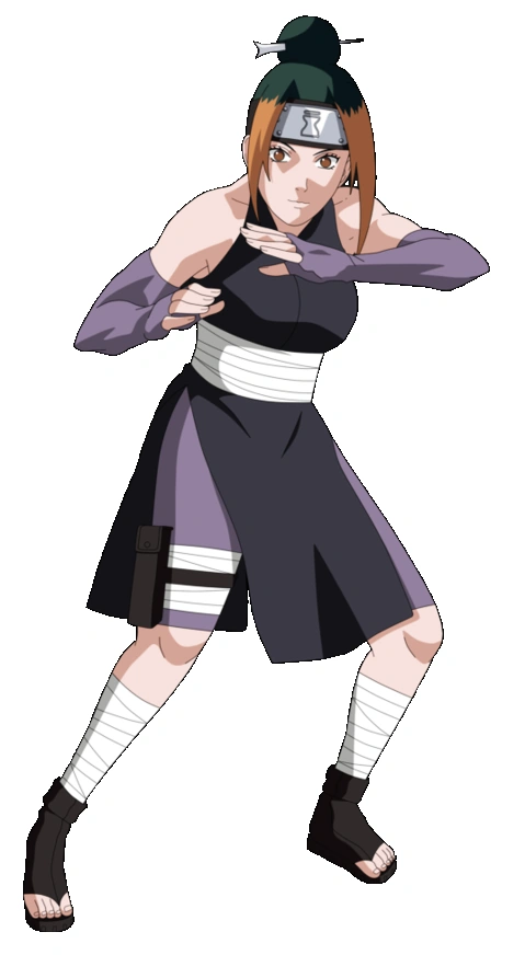 Zako | Www.dynapaul Wiki | Fandom