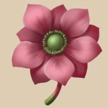 Anemone Flower | Wylde Flowers Wiki | Fandom