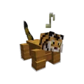 Pets - Official Wynncraft Wiki