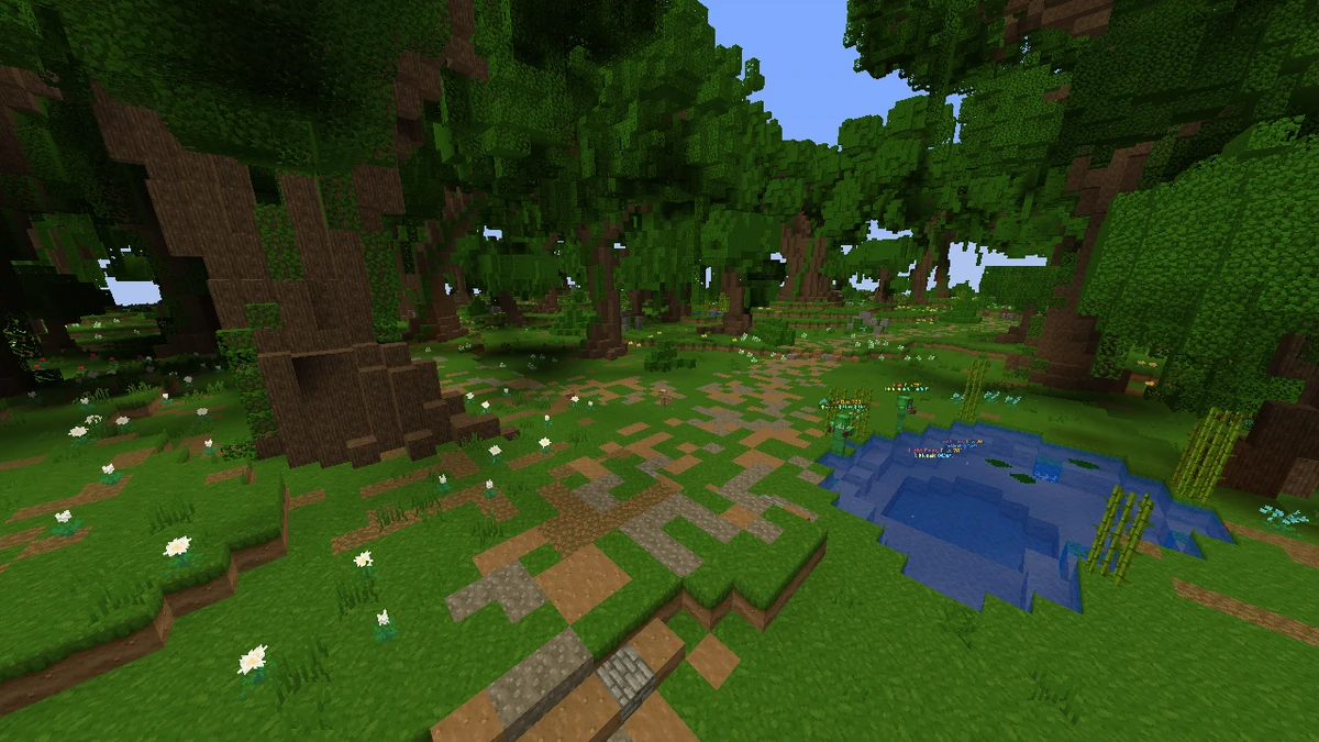 Light Forest - Wynncraft Wiki