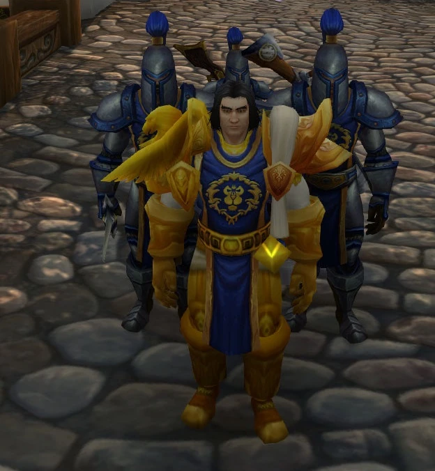 Stormwind Cíty Guard | Wyrmrest Accord Wiki | Fandom