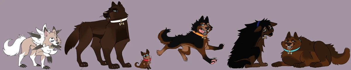 6 Wolves | When You See It Wiki | Fandom