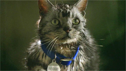 Reggie | X-Files Wiki | Fandom