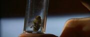 Bee | X-Files Wiki | Fandom