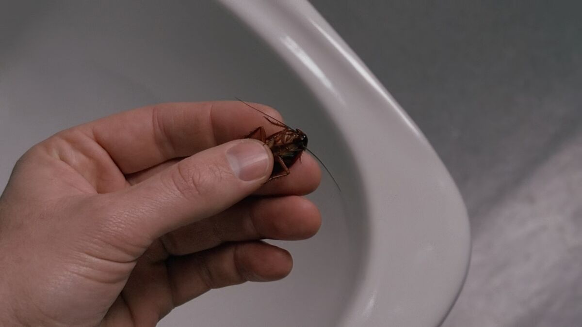 War of the Coprophages | X-Files Wiki | Fandom