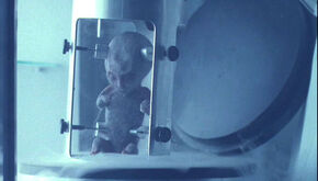 Alien fetus | X-Files Wiki | Fandom