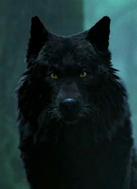 Mr. Chuckle Teeth | X-Files Wiki | Fandom