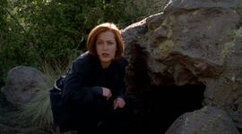 Field Trip | X-Files Wiki | Fandom