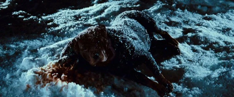 Two-headed dog | X-Files Wiki | Fandom