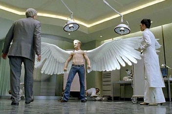 Warren Worthington III / Angel | X Men Movies Canon Wiki | Fandom