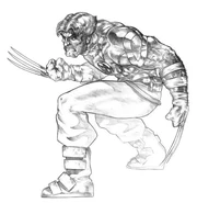 Wolverine/Gallery | X-Men Legends Wiki | Fandom