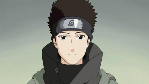 Shino | X-naruto Wikia | Fandom