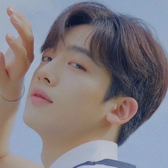 Userboxes | X1 Wiki | Fandom