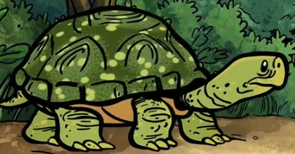 Turtle | Xavier Riddle and the Secret Museum Wiki | Fandom