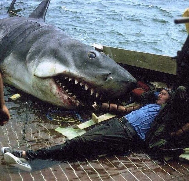 Bruce | Xavier Riddle Fanon Wiki | Fandom