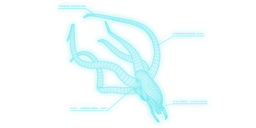 Seeker Autopsy | XCOM Wiki | Fandom