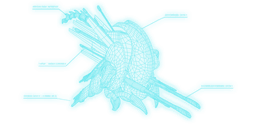 Cyberdisc Autopsy | XCOM Wiki | Fandom