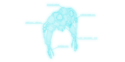 Heavy Floater Autopsy | XCOM Wiki | Fandom